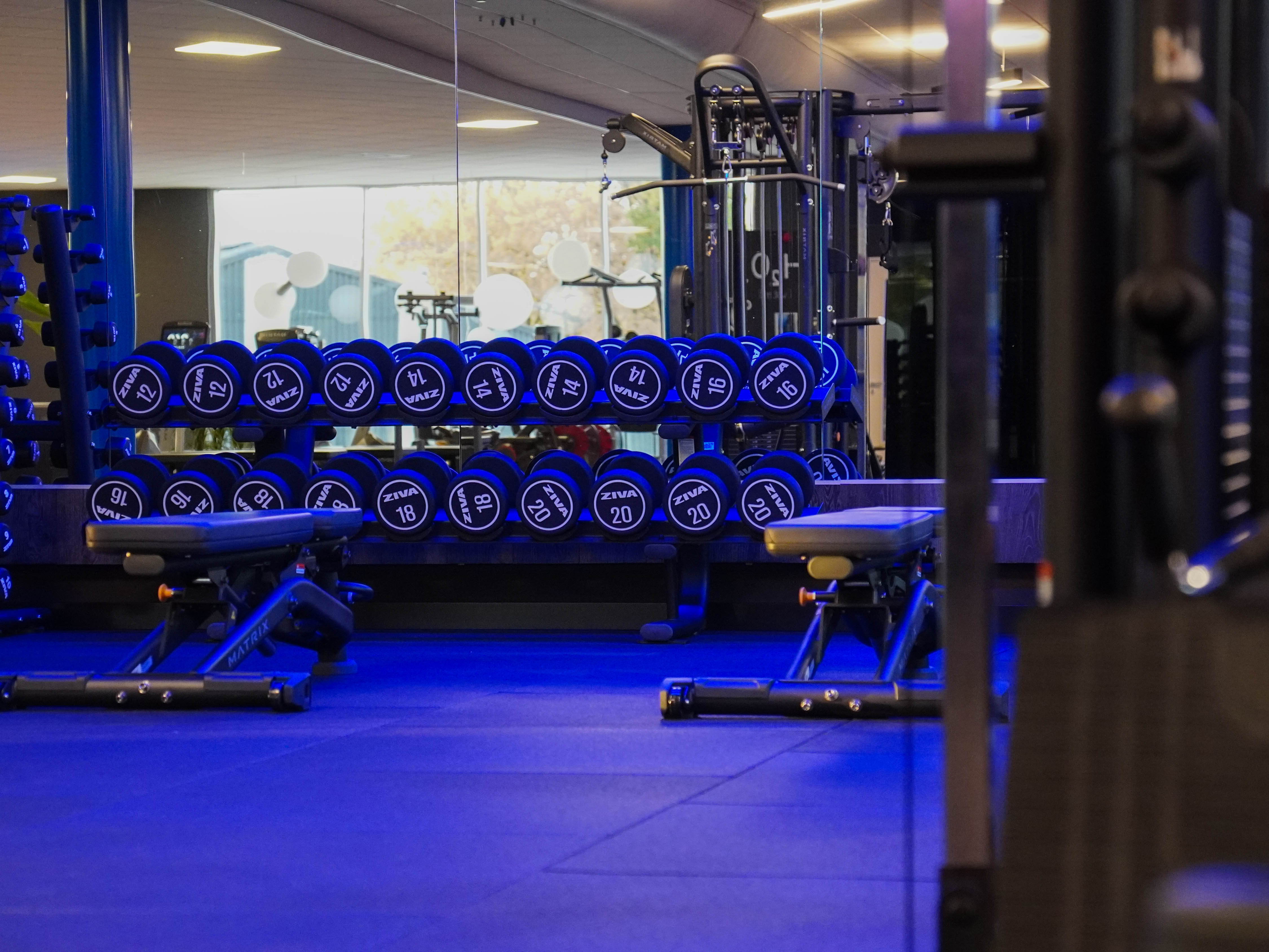 Home | 360 Healthclub