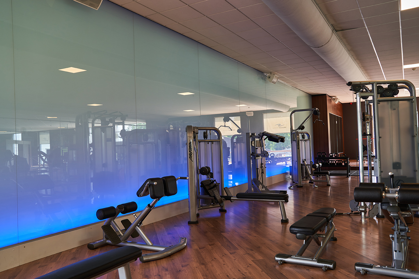 Home | 360 Healthclub